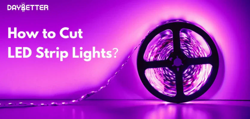 How to Cut LED Strip Lights: A Complete Guide by Daybetter